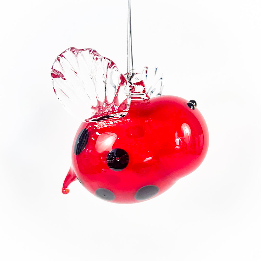 Blown Glass Ladybug - Raiford Gallery Inc